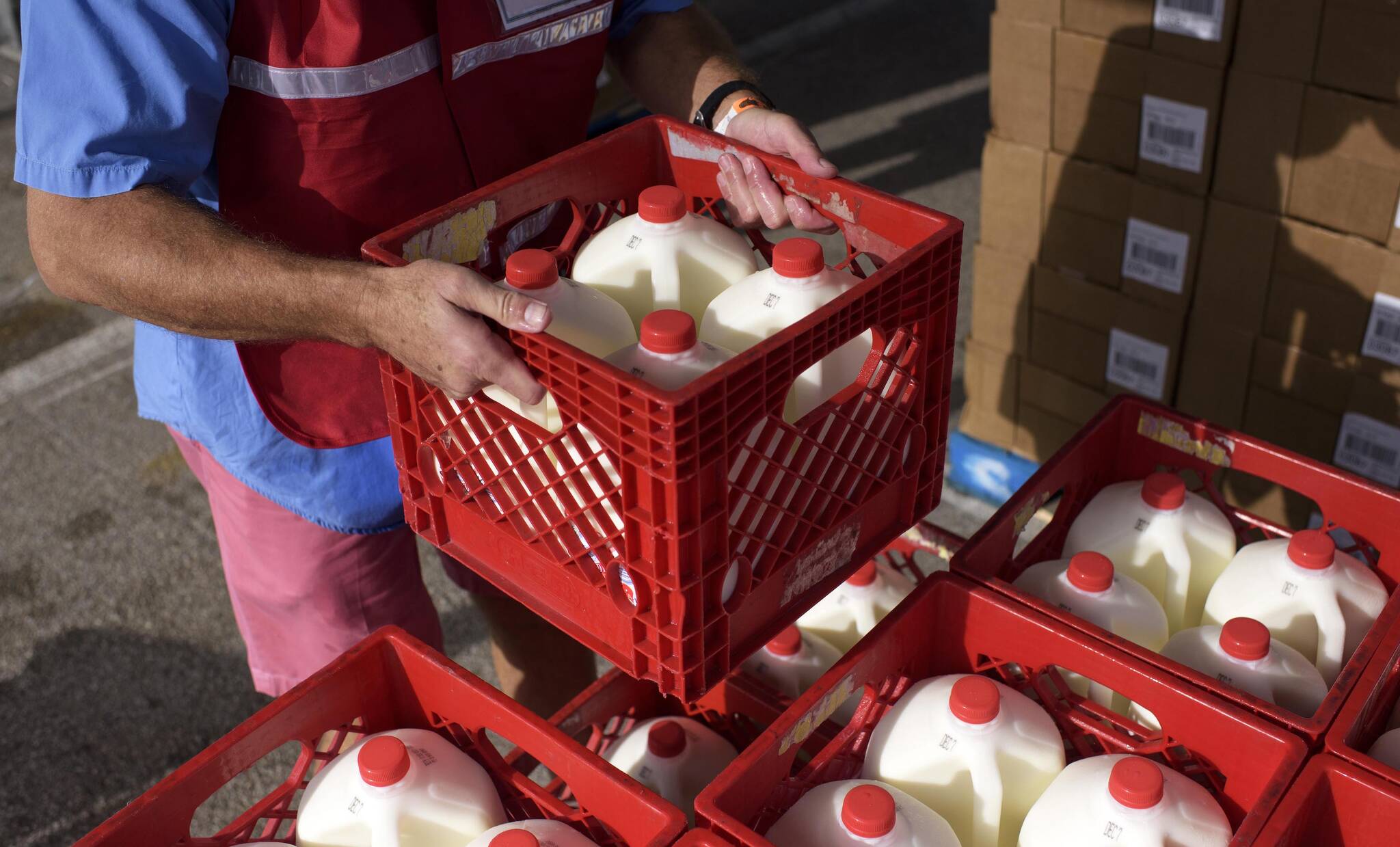 Cost of milk going up Thursday – Brandon Sun