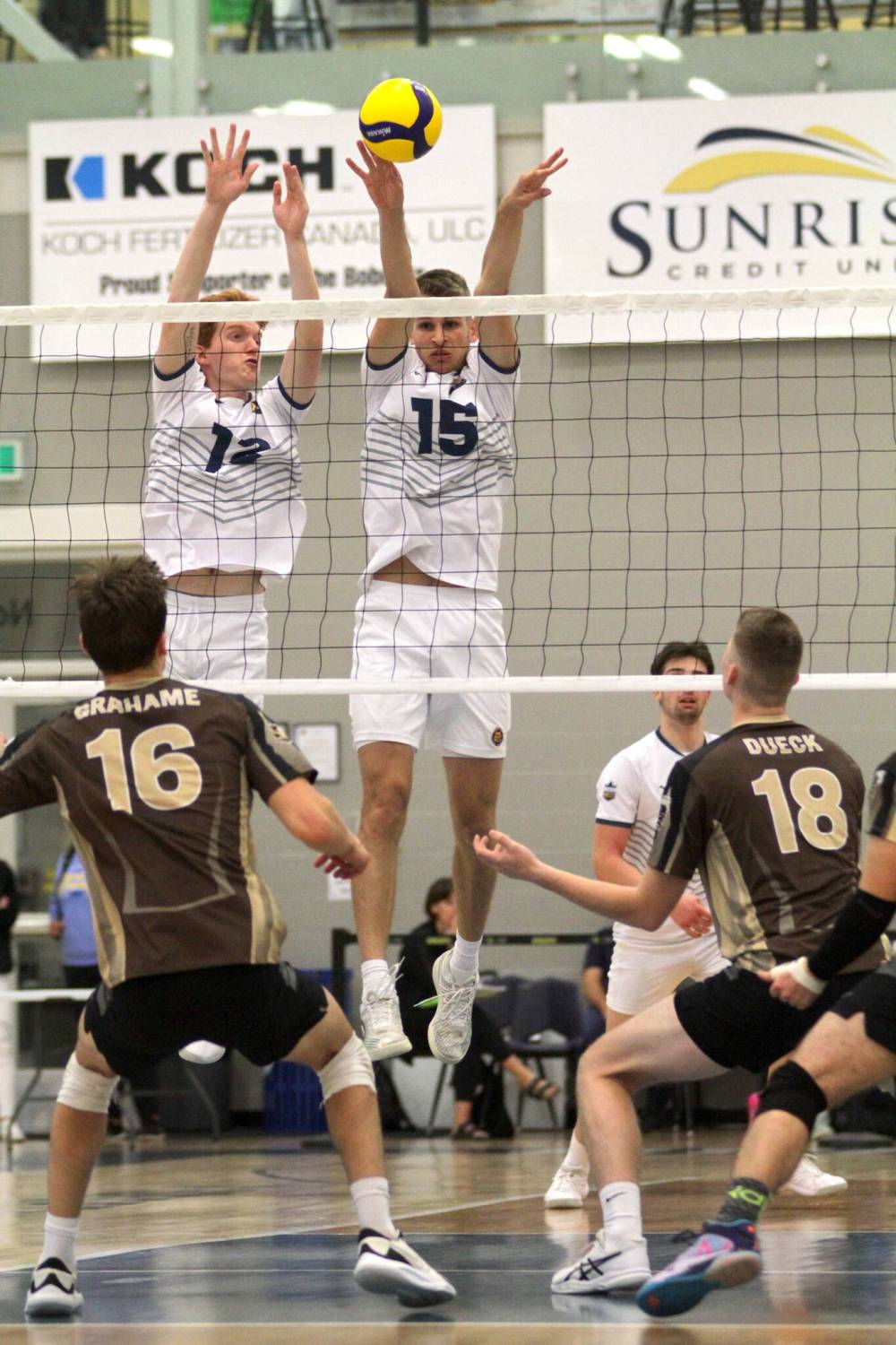 Friesen helps BU make data-driven decisions – Brandon Sun