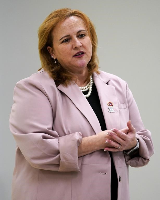 Voters choosing new rep in redrawn Nashville district – Brandon Sun