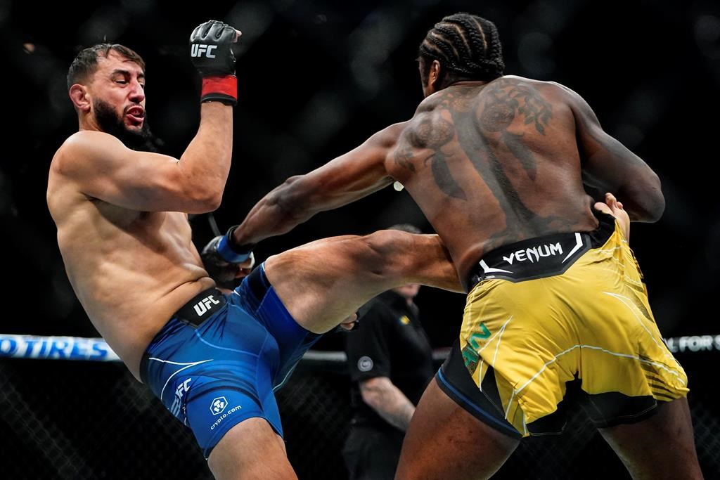 UFC great Frankie Edgar KO’d at MSG in final fight – Brandon Sun