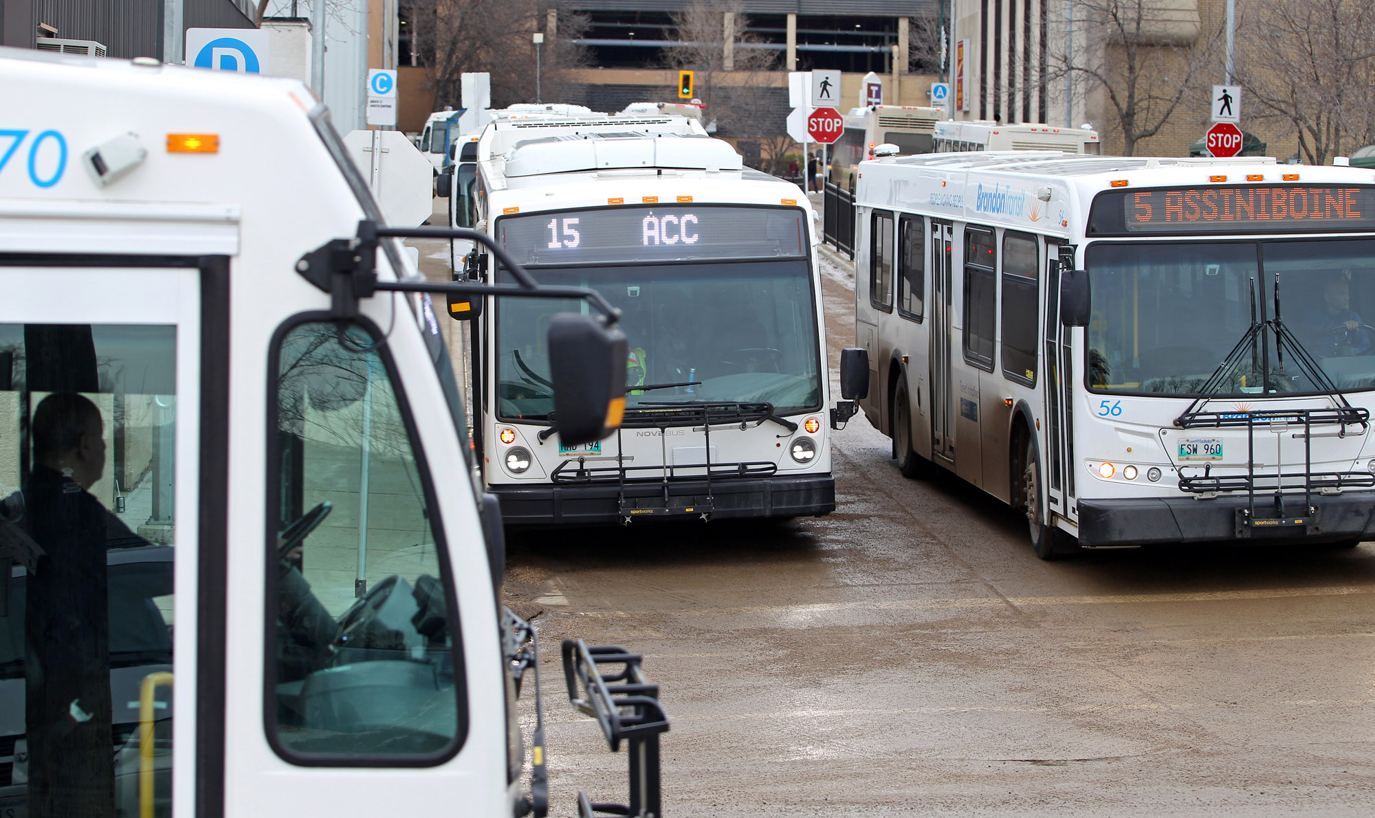Rough road ahead for Brandon Transit – Brandon Sun