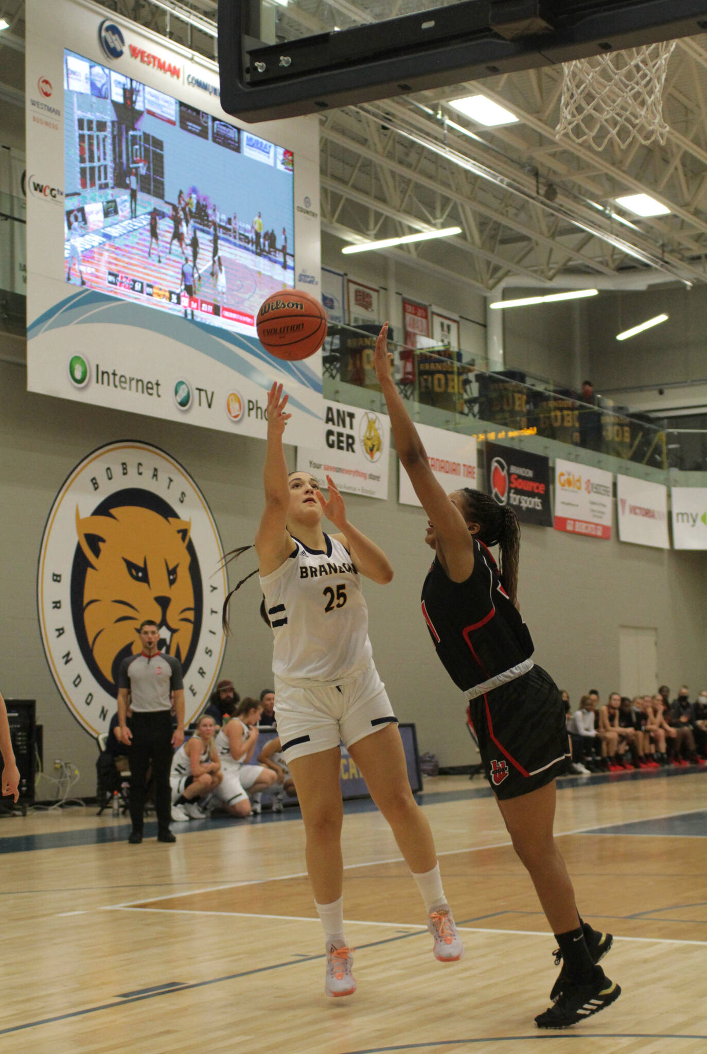 BU set to showcase exciting style on hardcourt – Brandon Sun