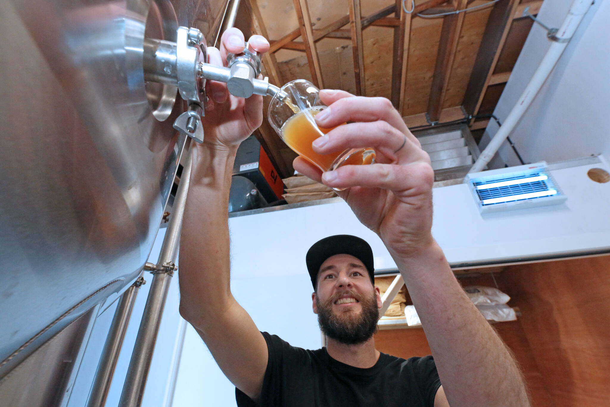 Section 6 brewery pouring soon – Brandon Sun