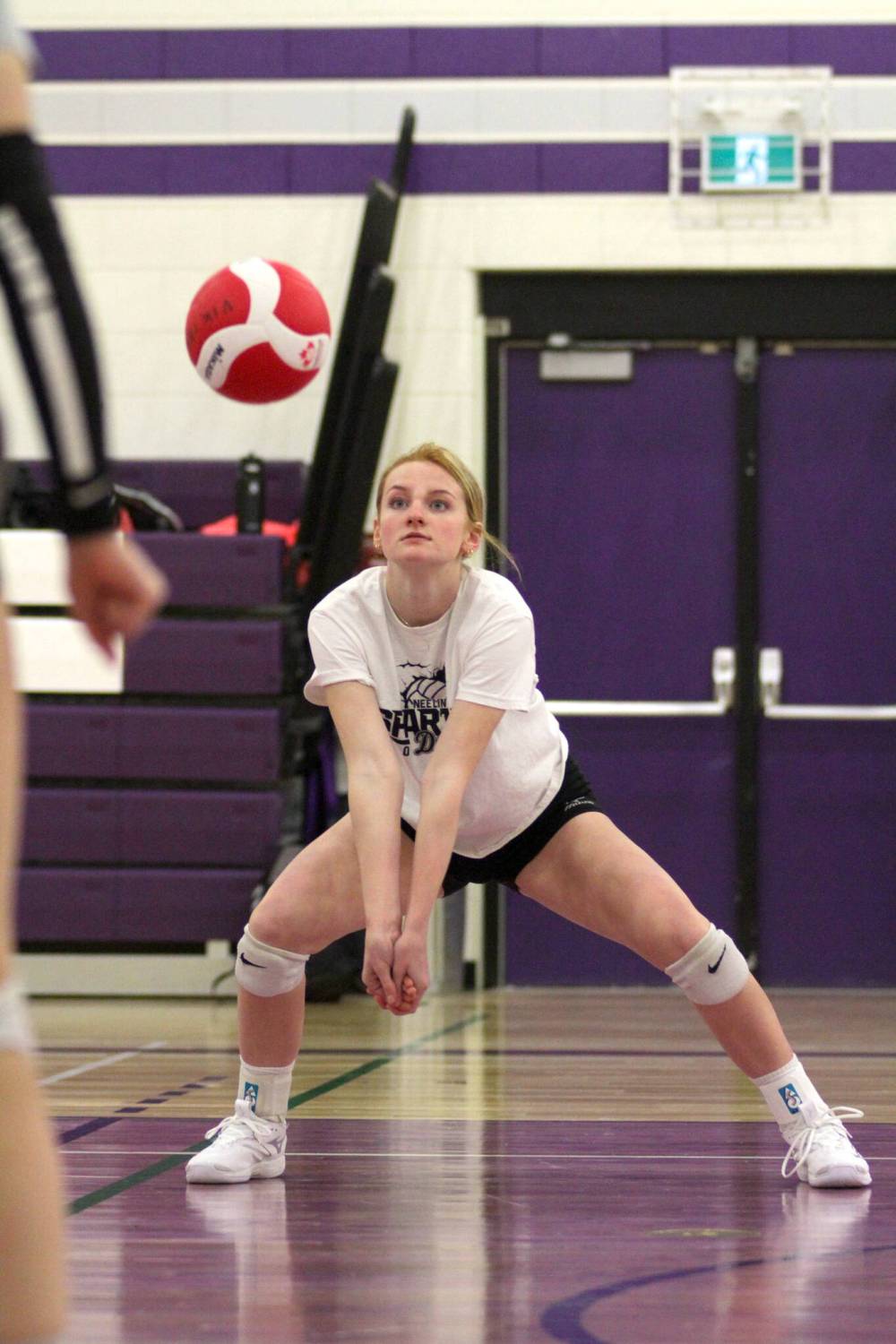 Vikings set to battle for provincial volleyball crown – Brandon Sun