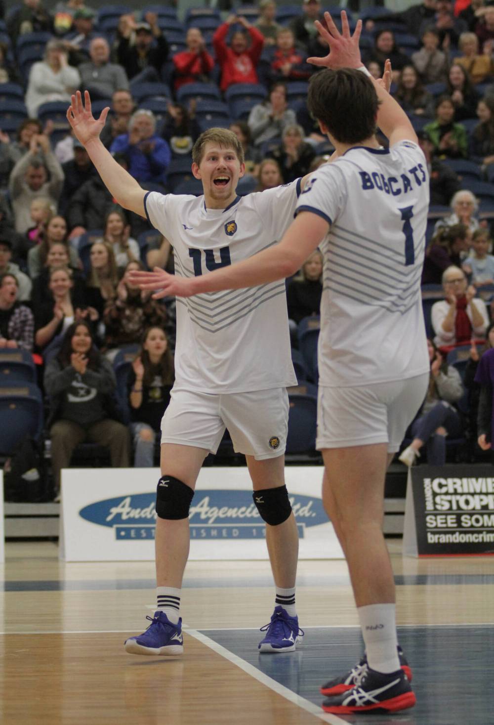 Friesen not so quietly emerges as BU’s go-to guy – Brandon Sun