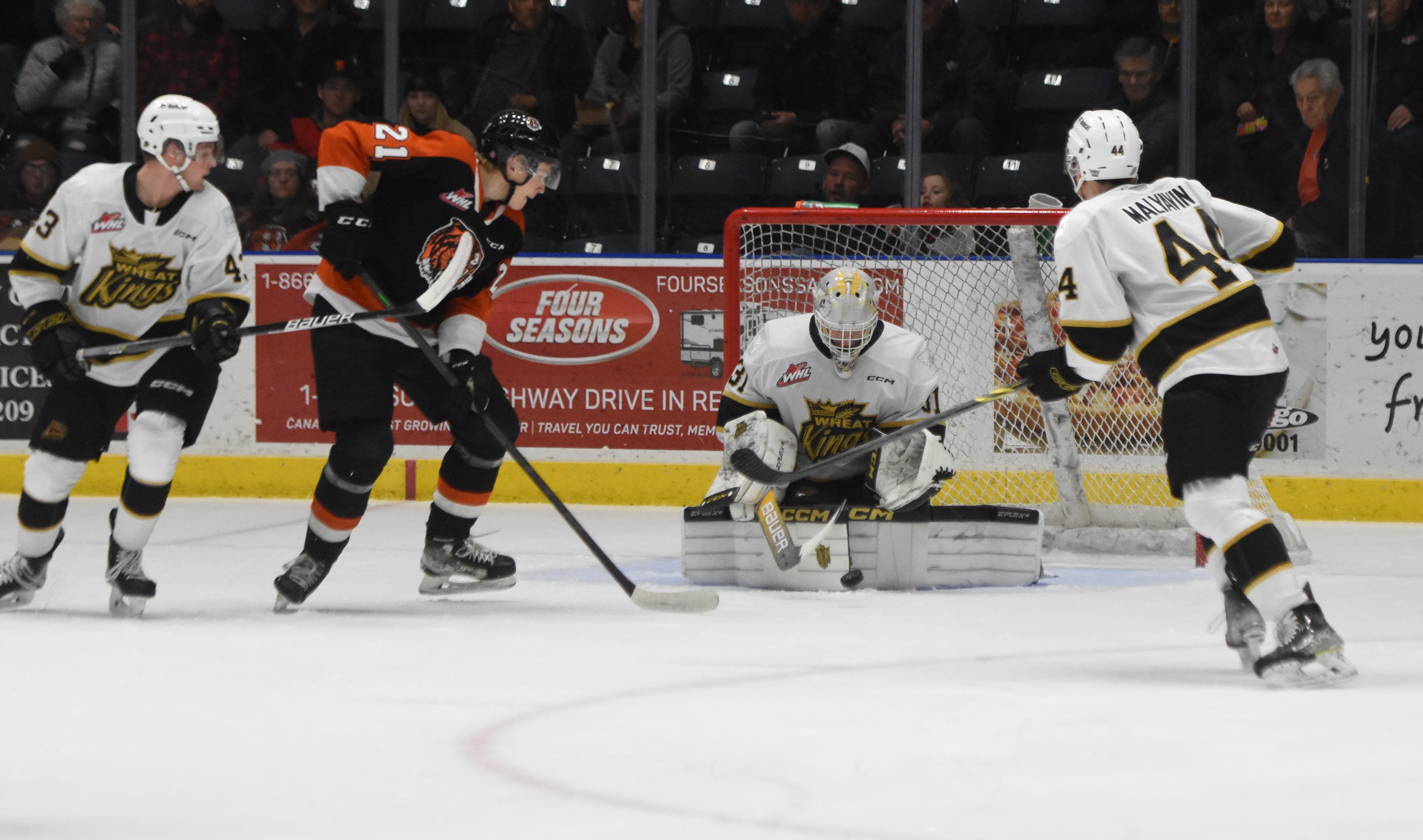 Tigers rough up Wheat Kings – Brandon Sun