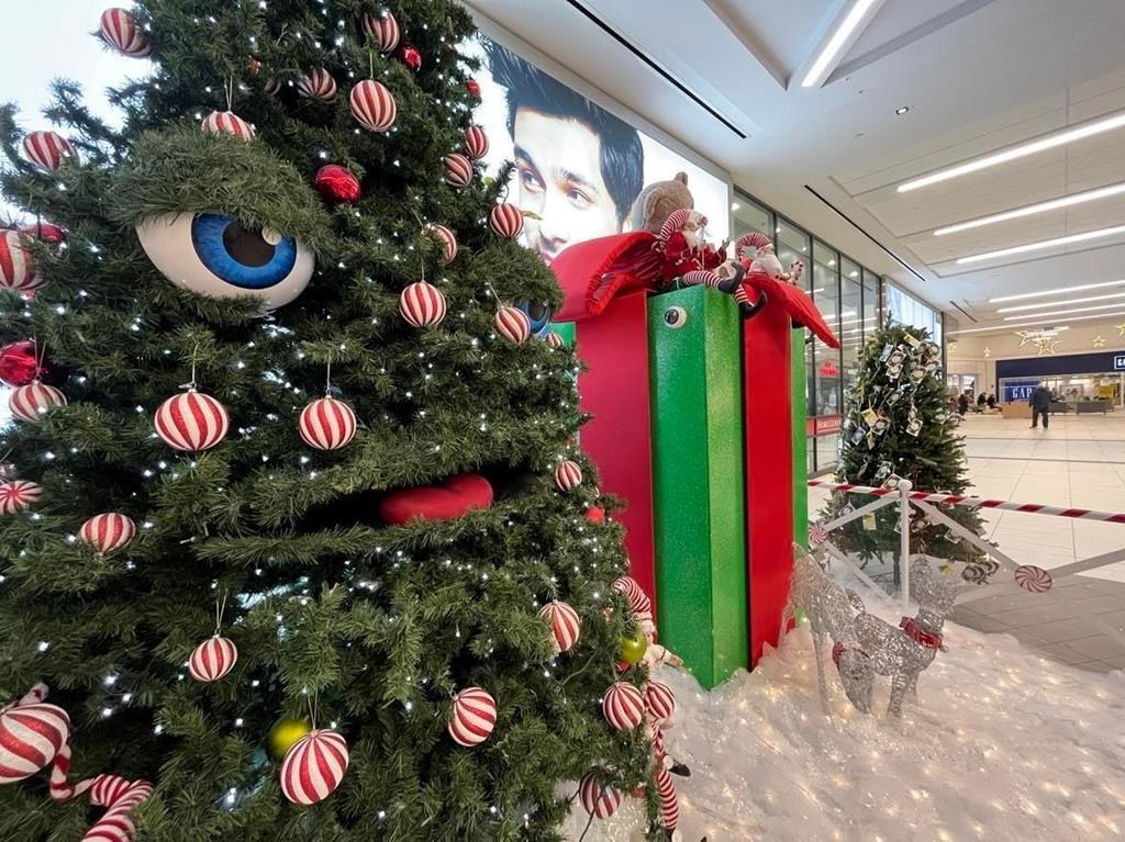 Think Woody’s weird? Meet the Happy Tree, Newfoundland’s own talking ...