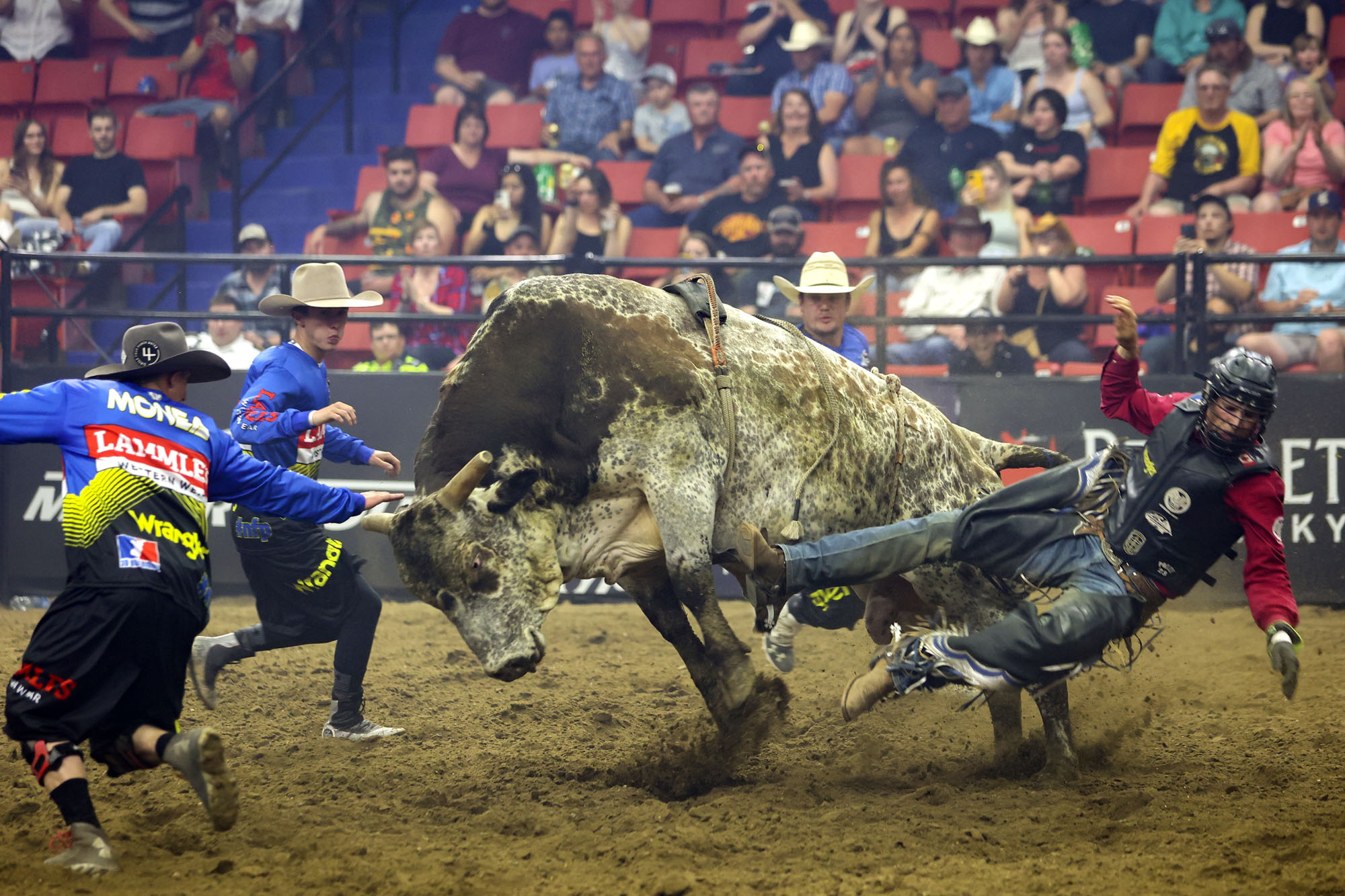 Bull riders returning to Brandon – Brandon Sun