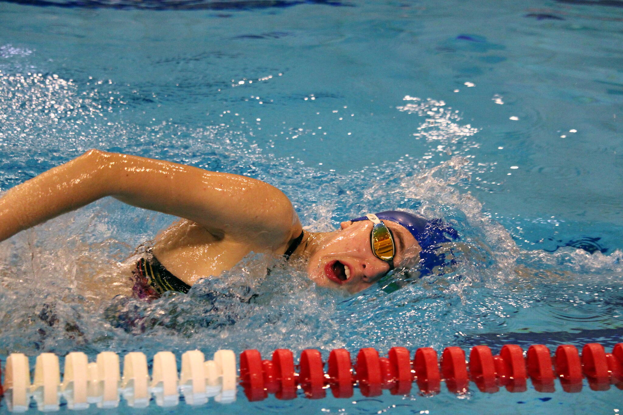 Bluefins enjoying return to the water ahead of home meet – Brandon Sun