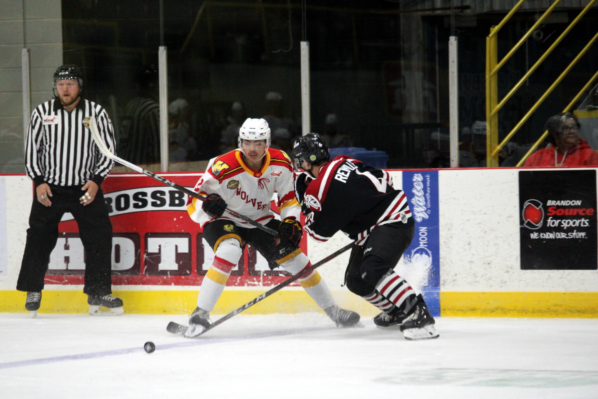 Baptiste happy to help Wolverines succeed – Brandon Sun