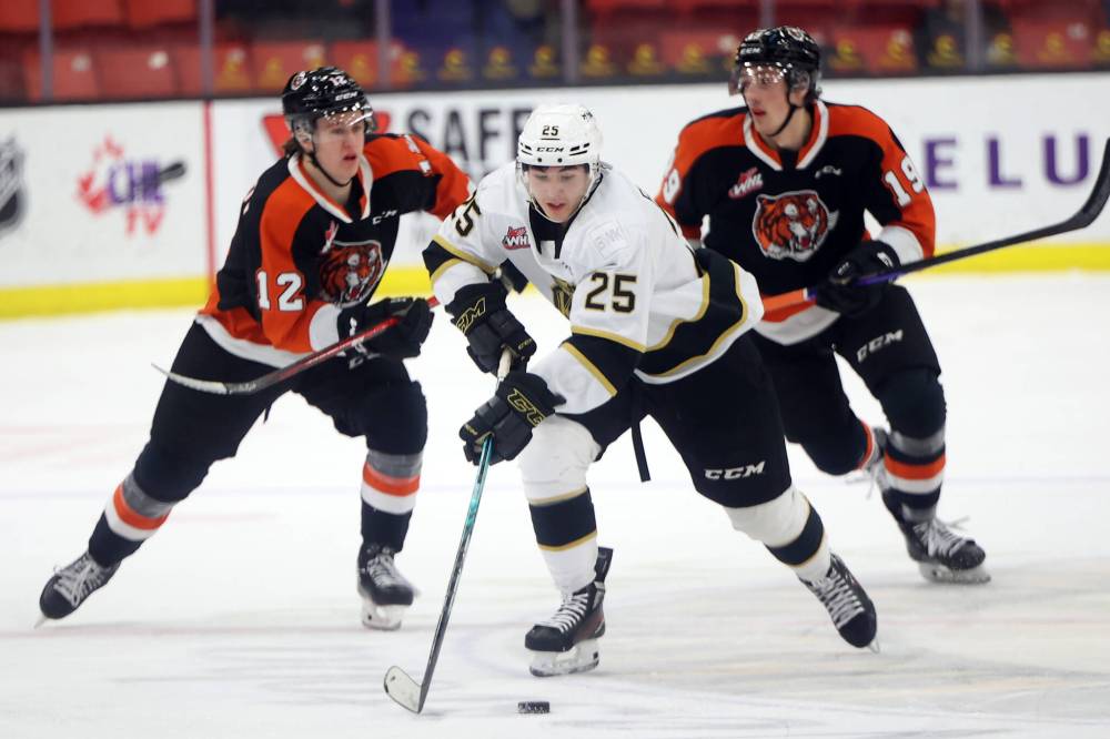 Flamand adapting to new WHL home – Brandon Sun
