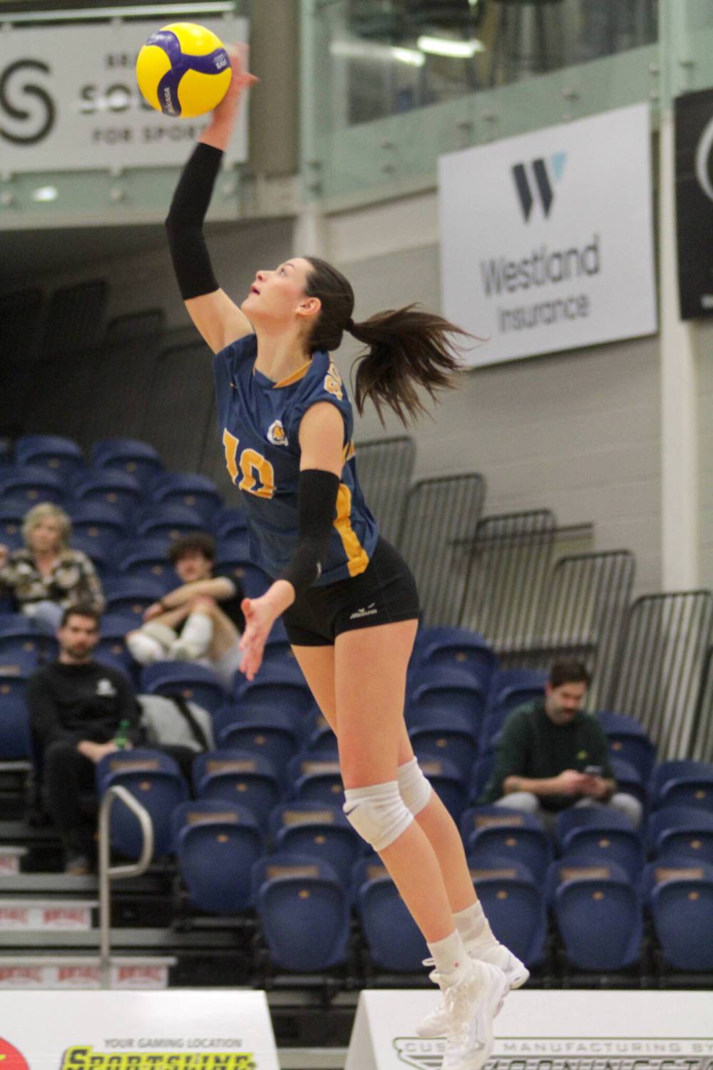 Huskies drop Bobcats again despite Anderson’s efforts – Brandon Sun