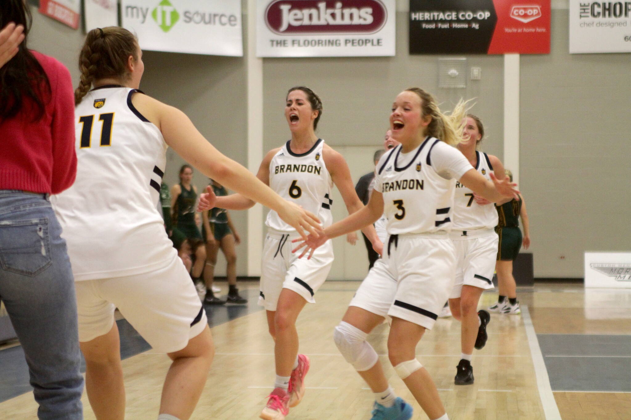 Bobcats shock Timberwolves for first victory – Brandon Sun