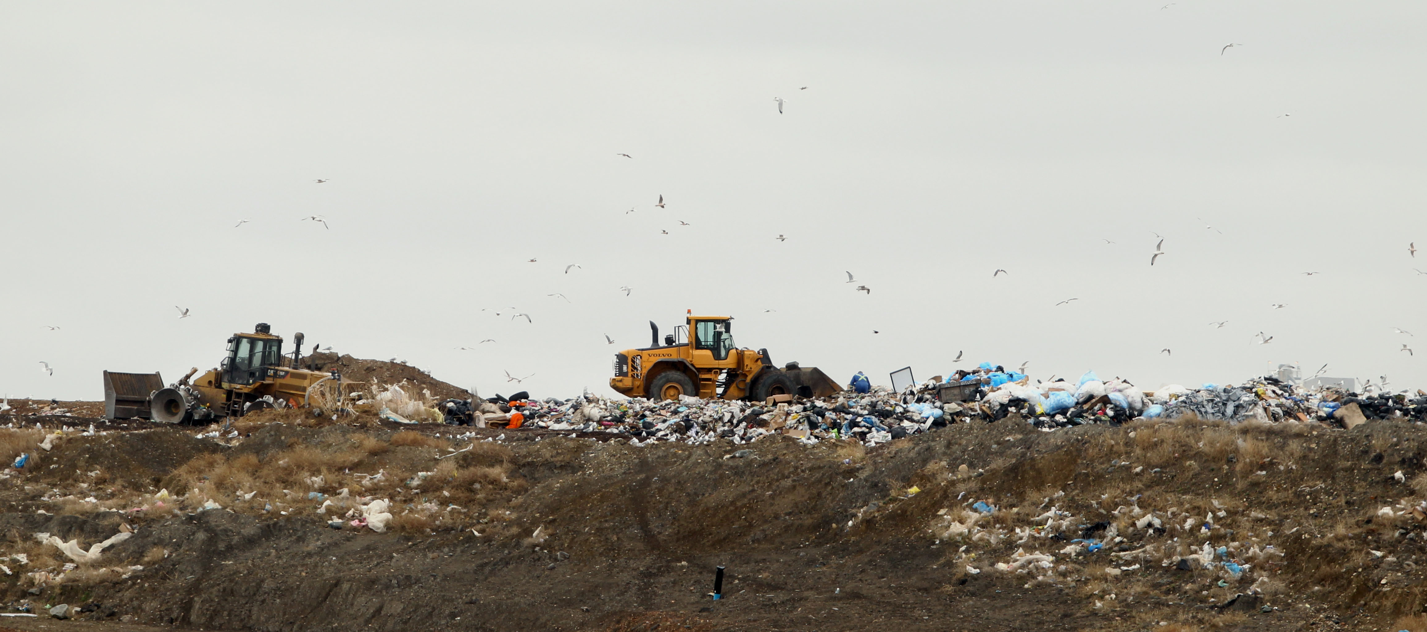 Expansion of landfill on city’s agenda – Brandon Sun