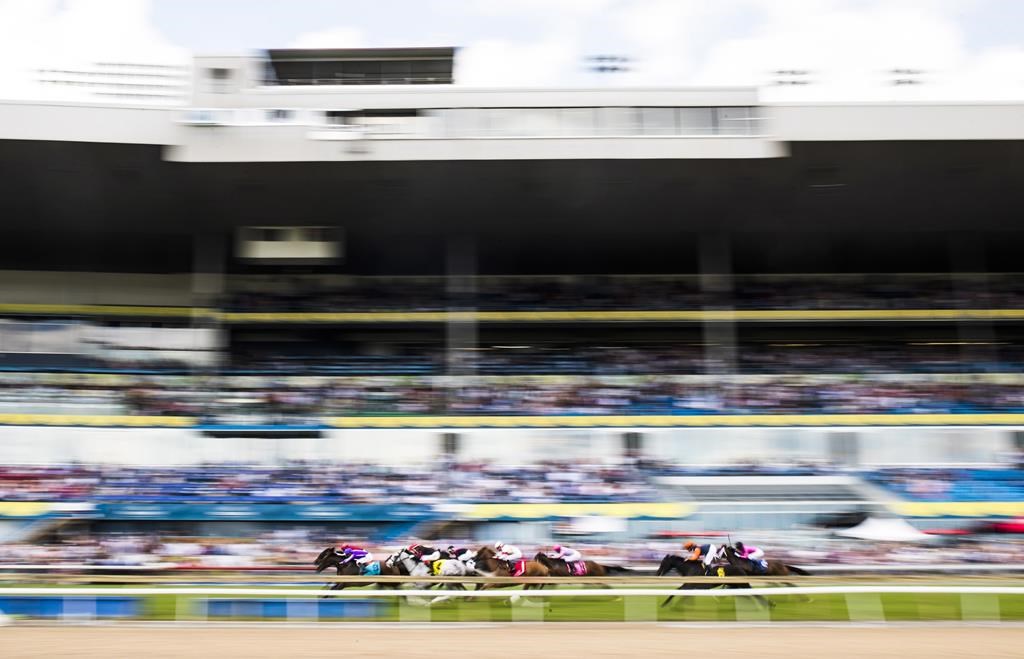 Canadian International turf ace returns to Woodbine in 2023 – Brandon Sun