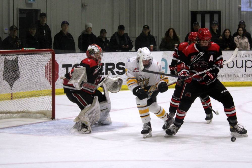 Cougars battle until end – Brandon Sun