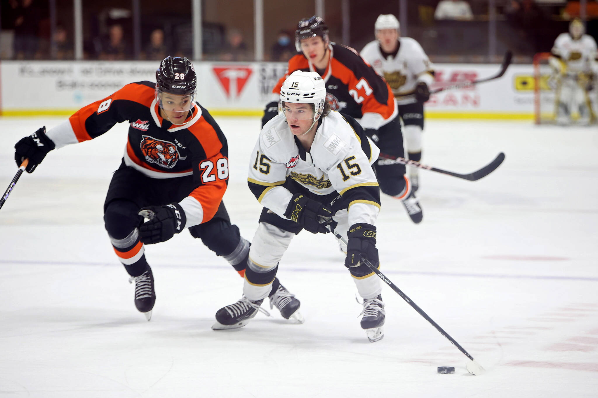 Ritchie reflects on wild WHL ride – Brandon Sun