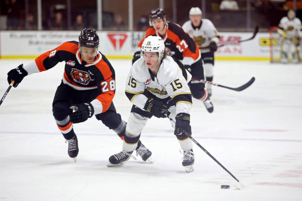 Ritchie reflects on wild WHL ride – Brandon Sun