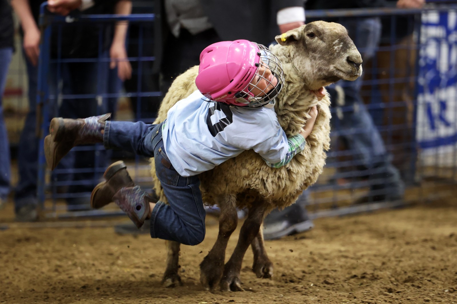 GALLERY – Friday update: Royal Manitoba Winter Fair – Brandon Sun