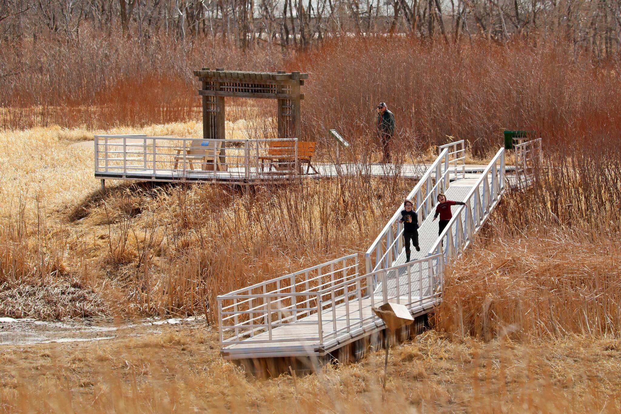 Non-profit spurs environmental action in Brandon – Brandon Sun