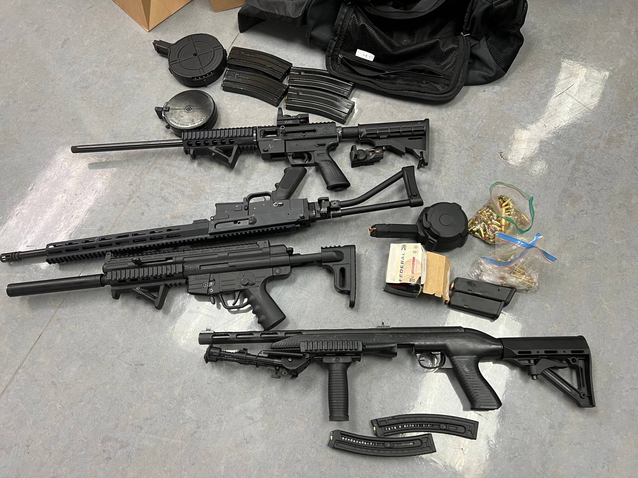 Dauphin RCMP seize firearms – Brandon Sun