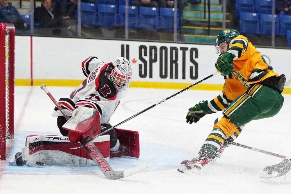 Toronto Maple Leafs sign goalie Samuel Richard to amateur tryout for ...