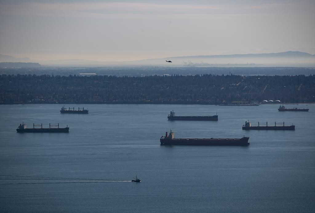 B.C.’s Terminal 2 Roberts Bank project gets federal approval; 370 ...