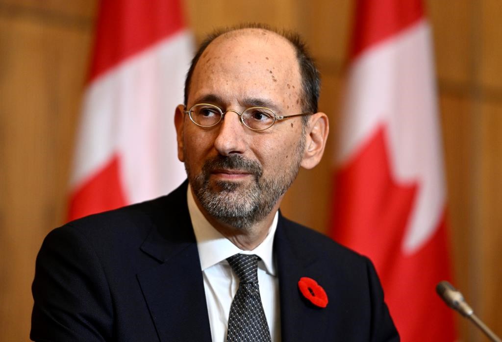 Ottawa aims to add new limits to controversial use of dry cells in ...