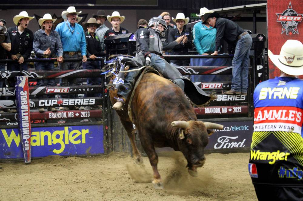 Roy doubles up at Manitoba PBR events – Brandon Sun