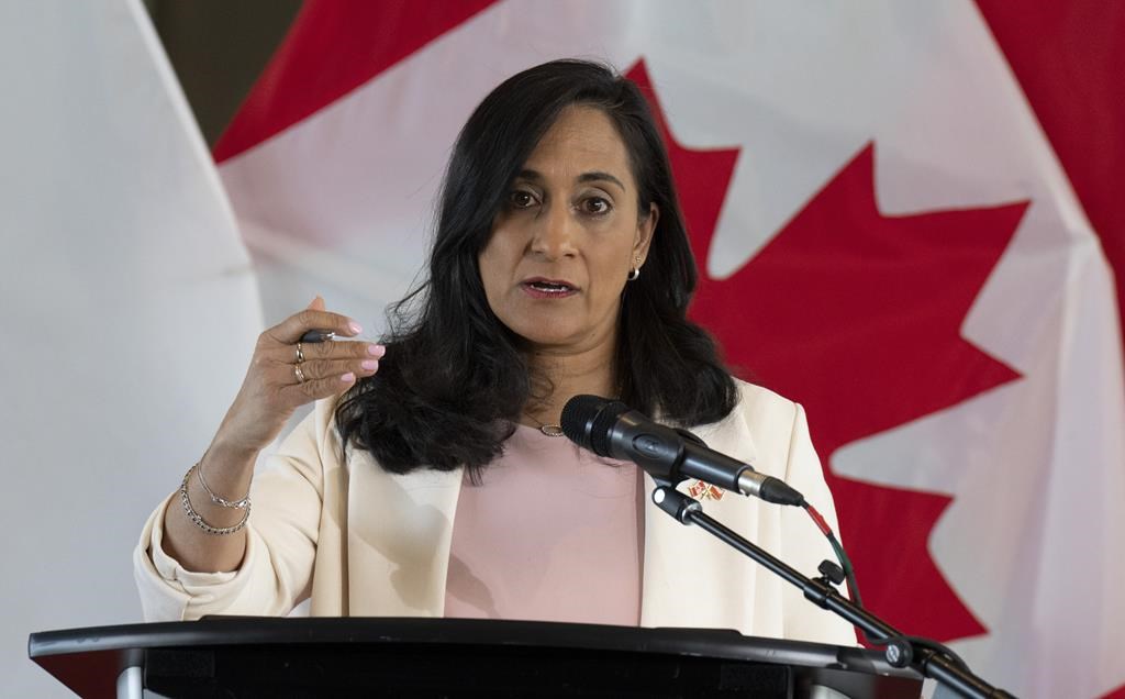 Defence minister says Canada wants to share advanced military ...