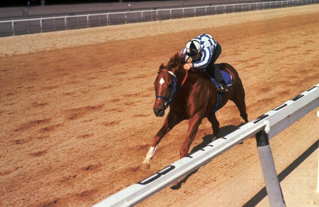 Book shines a light on successes, challenges experienced by Turcotte ...