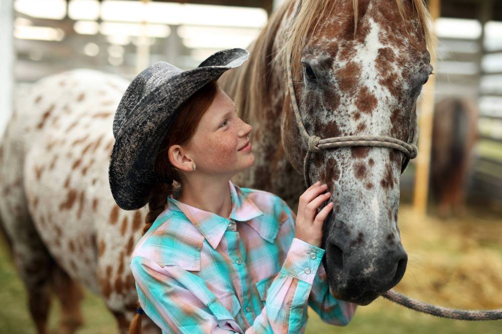 Fair comes to Strathclair – Brandon Sun