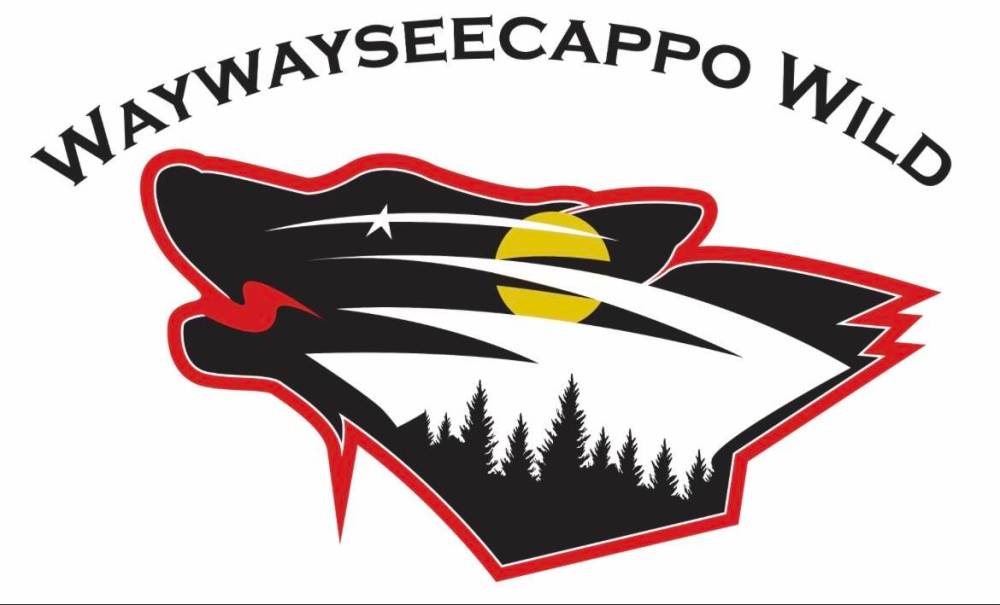 KJHL expands to Waywayseecappo – Brandon Sun