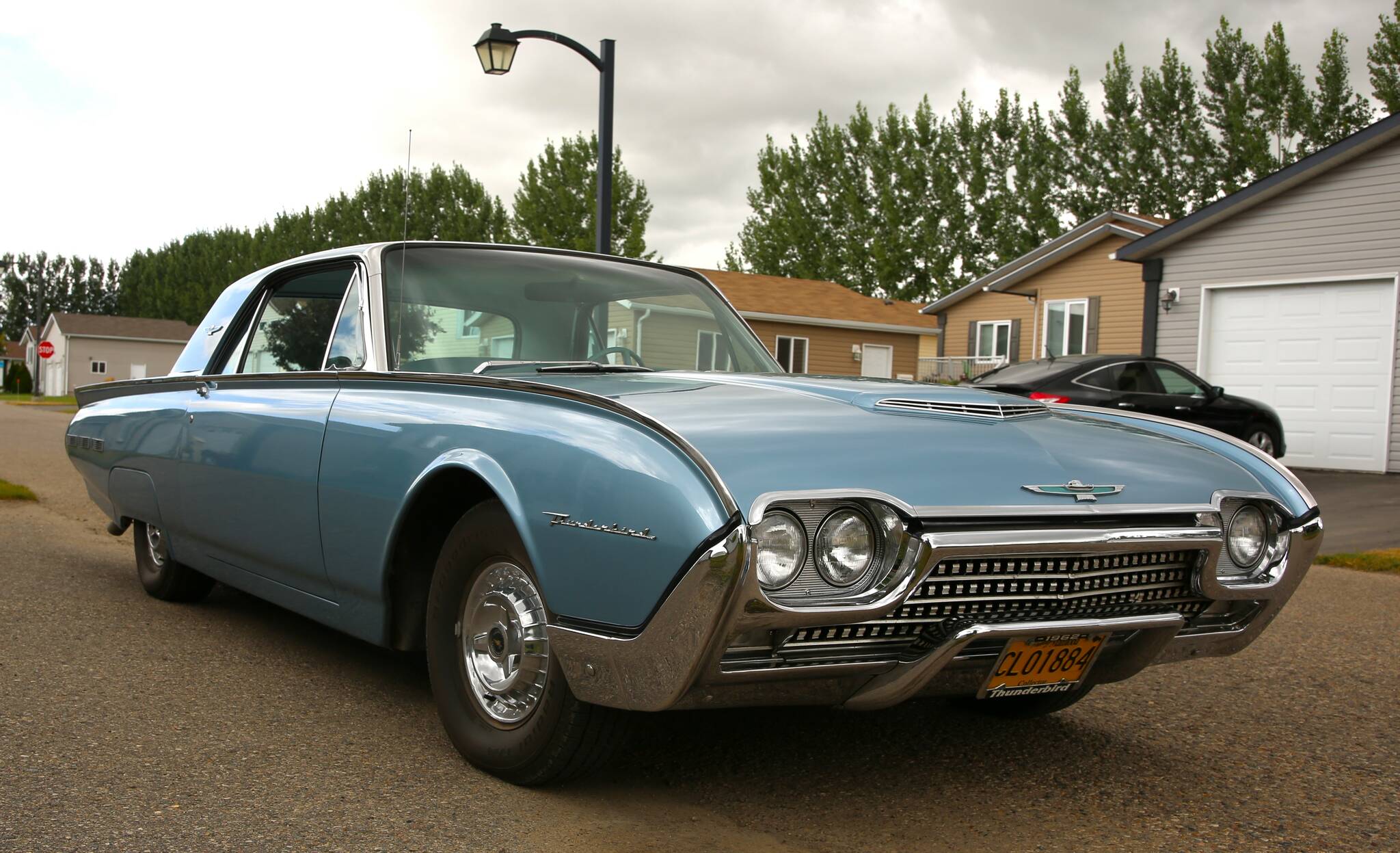 ‘Bullet Bird’ still floating along – Brandon Sun