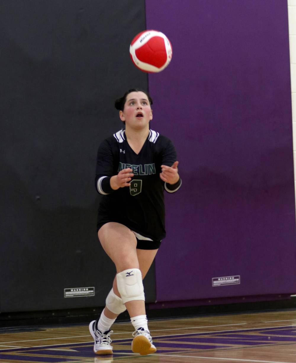 Vikings sweep Spartans – Brandon Sun