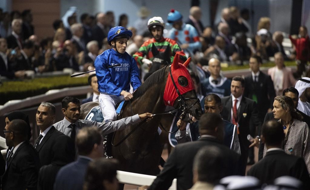 Favourite Master of The Seas captures $1-million Ricoh Woodbine Mile ...