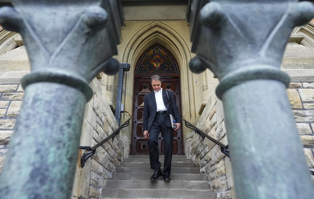 House of Commons elects Liberal MP Greg Fergus as first Black Canadian ...