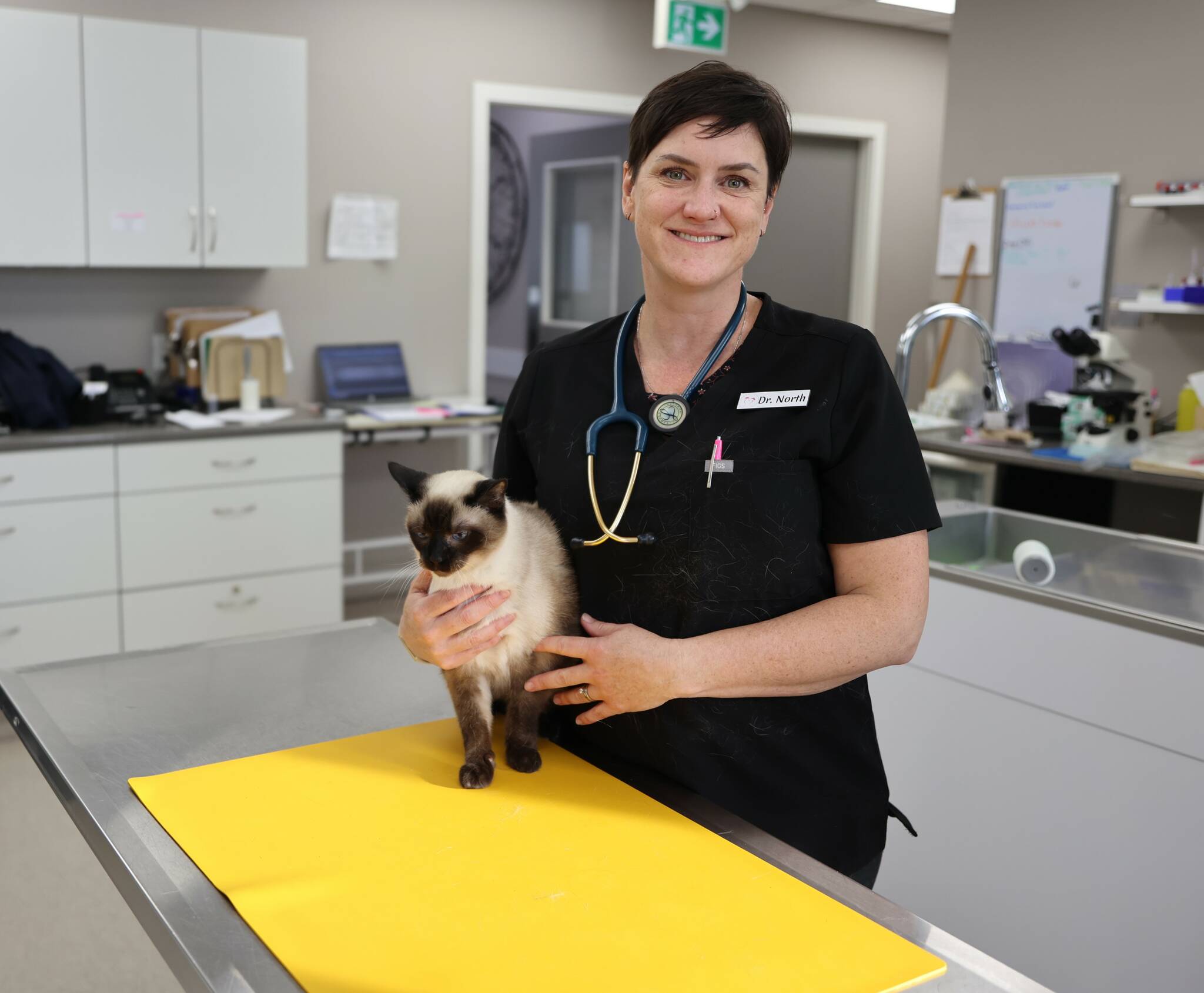 Pet owners struggle to find vets – Brandon Sun