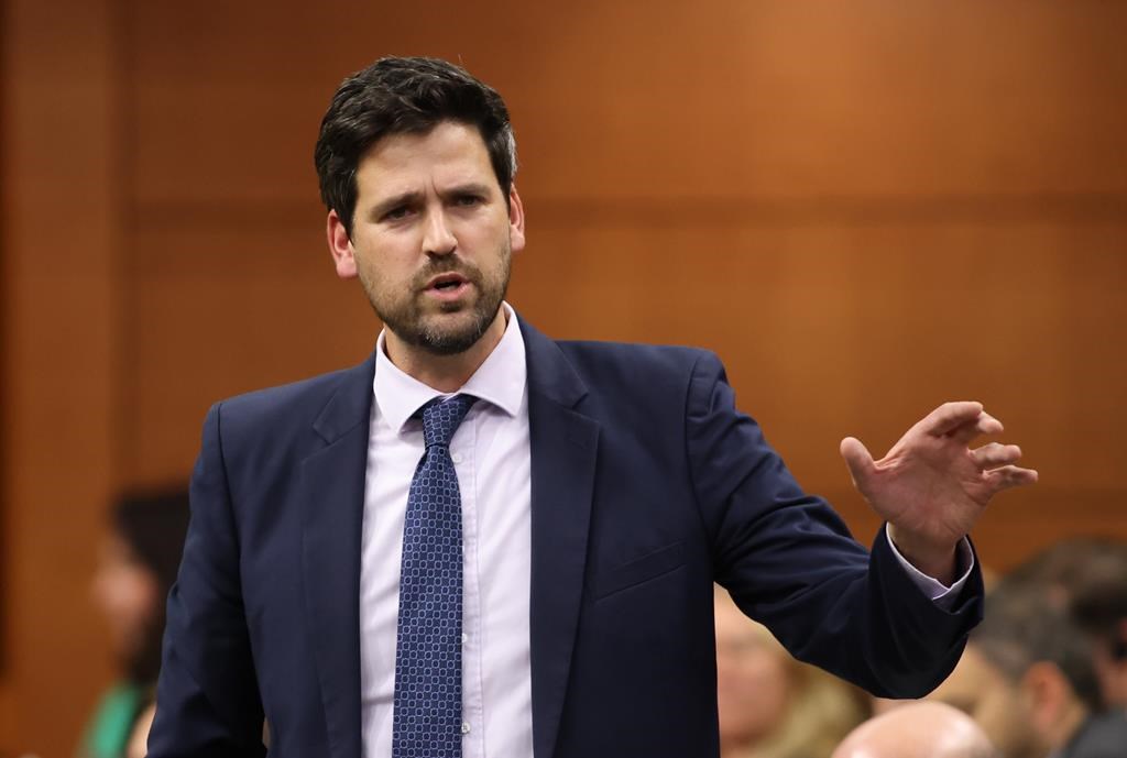 Fraser says housing measures coming in budget update, weighs in on ...