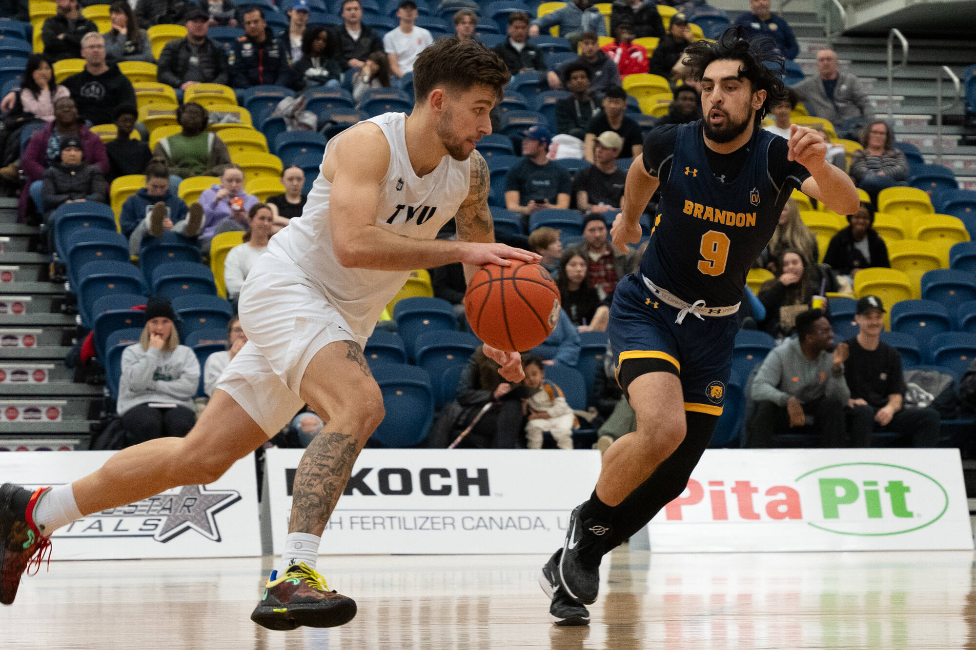 Bobcats extend win streak to seven – Brandon Sun