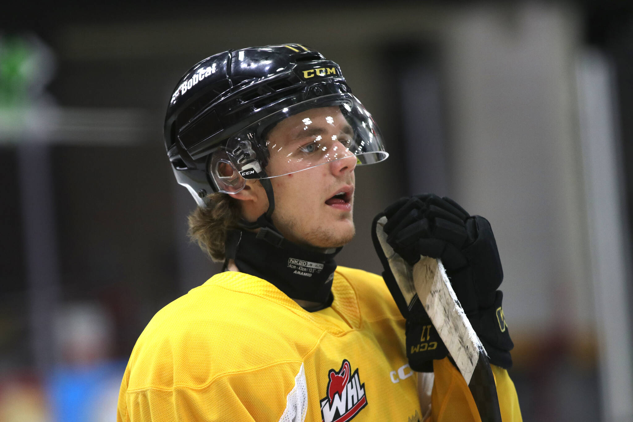 Rookies appreciate WHL experience – Brandon Sun