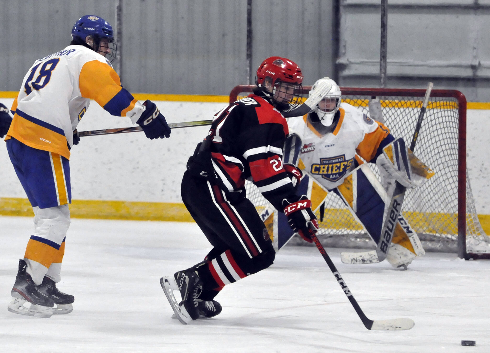 Southwest Cougars forward Tyson Draper earns monthly award – Brandon Sun