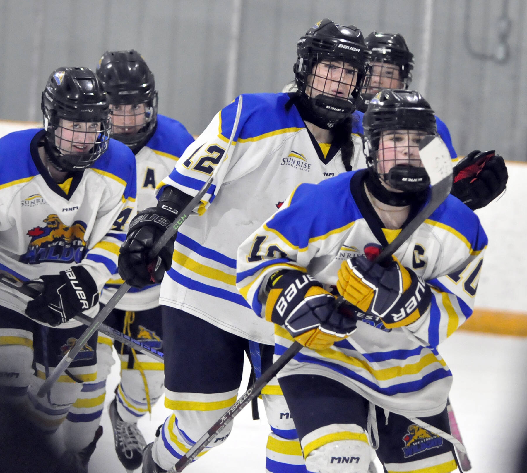 Wildcats take flight sweeping Hawks – Brandon Sun