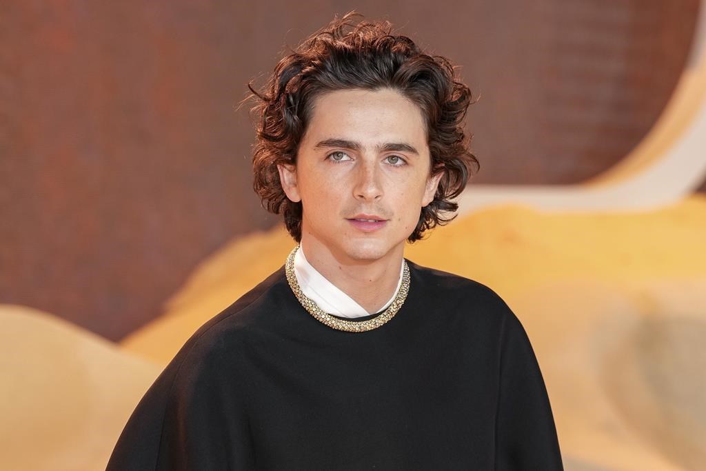 After ‘Wonka’ and ‘Dune,’ Timothée Chalamet signs first look deal with ...