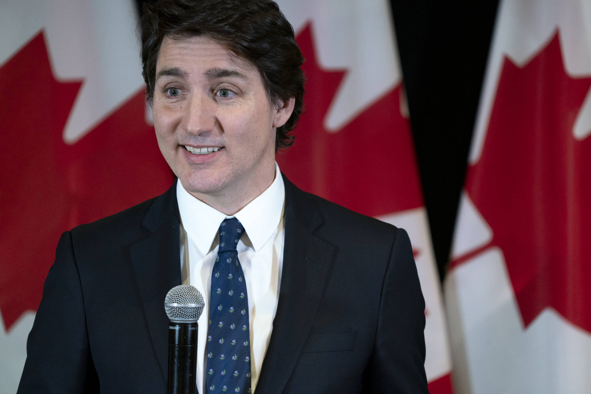 The landscape of Canadian politics – Brandon Sun