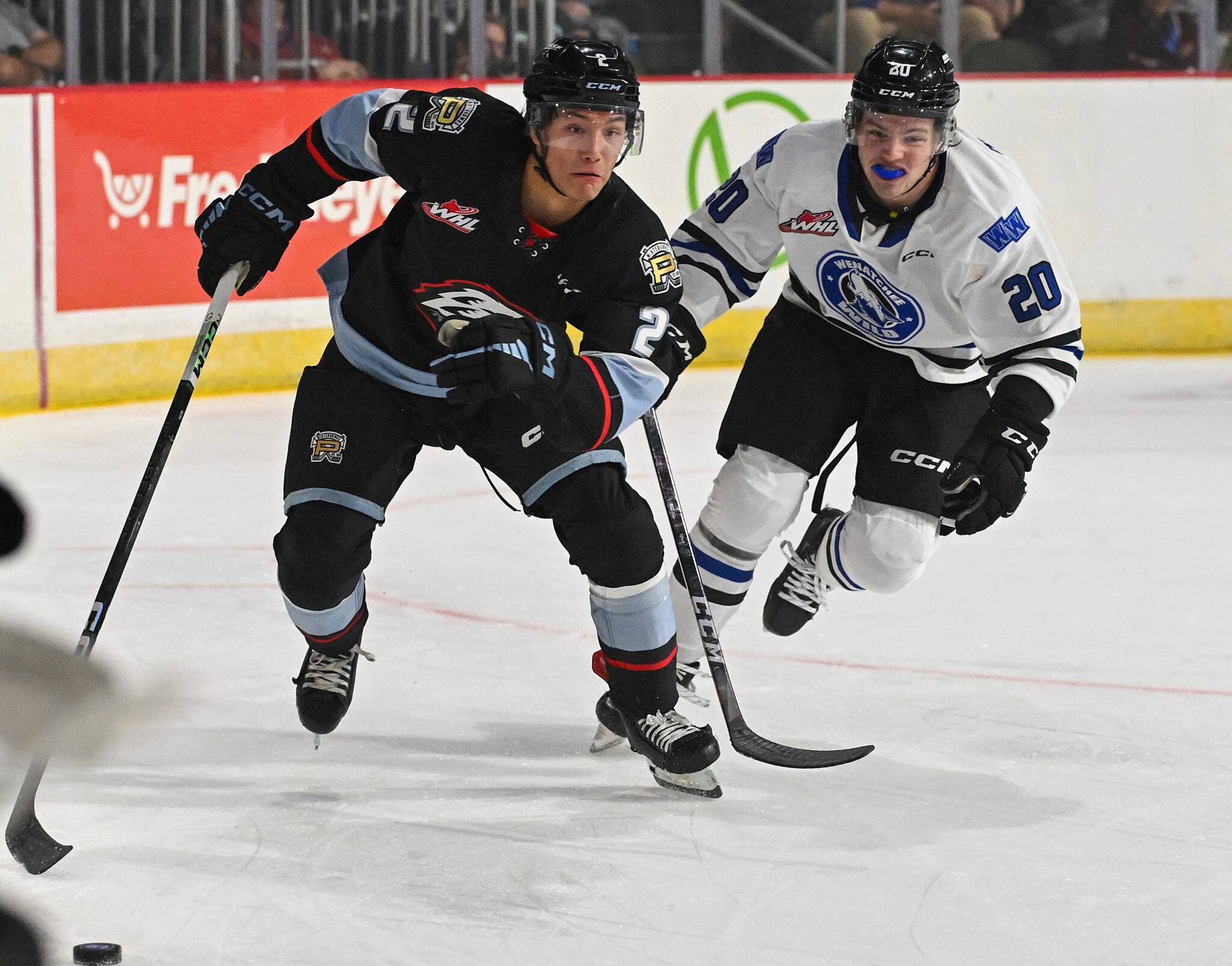 WHL NOTEBOOK: Rookes brings rural roots to Wenatchee – Brandon Sun