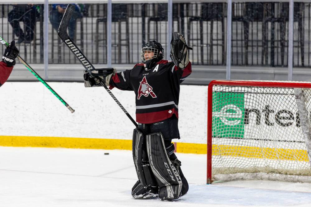 Cougars eliminate Friars to reach final – Brandon Sun