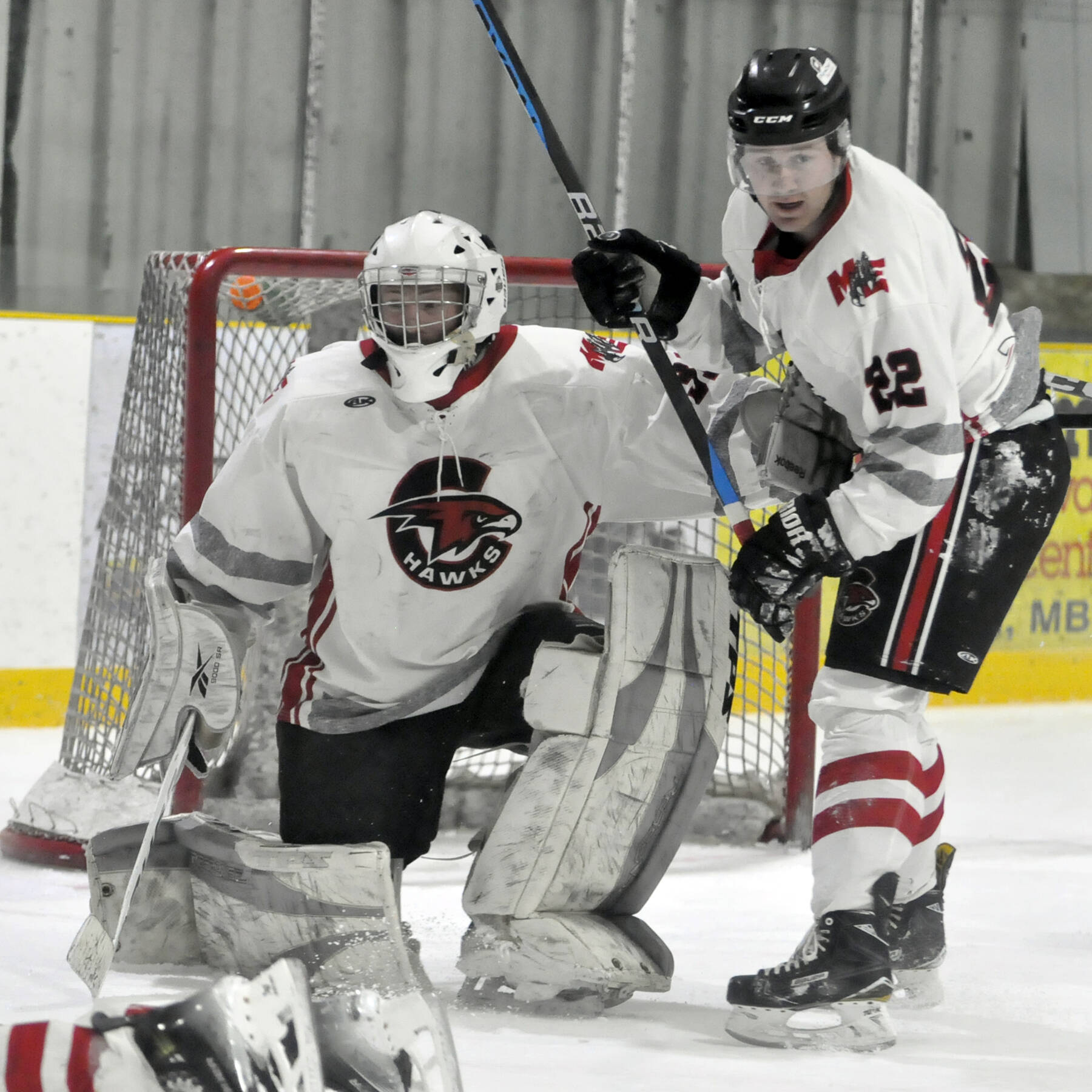 Miniota-Elkhorn C-Hawks ready to defend THHL title – Brandon Sun