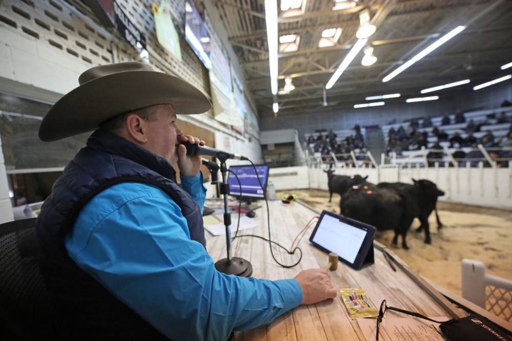 Life changes: Minnedosa cattleman sells off herd – Brandon Sun