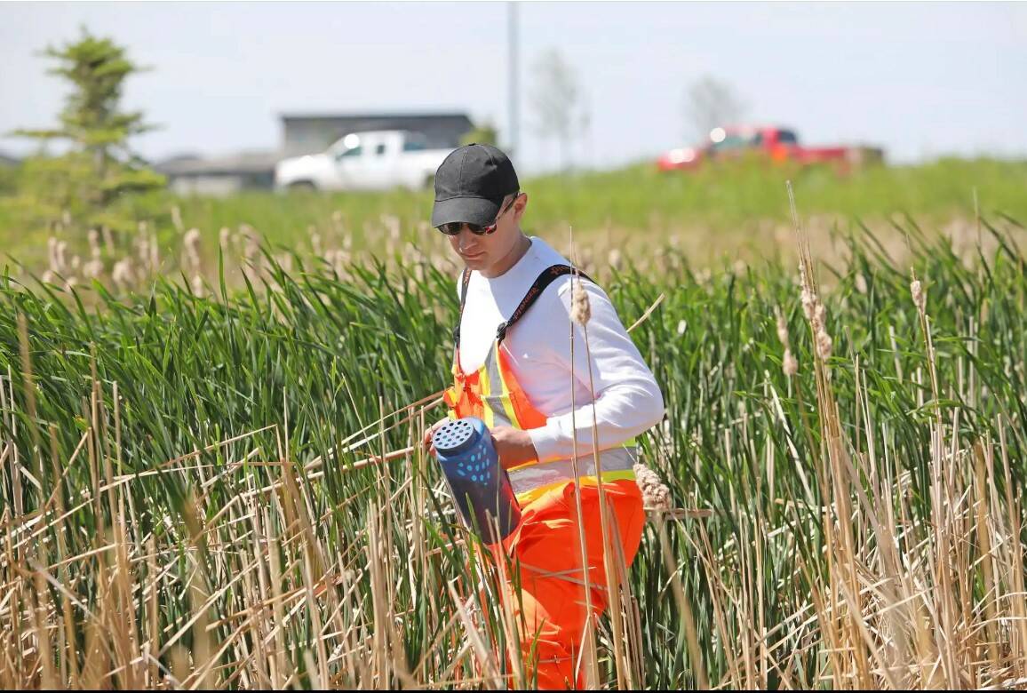 Mosquito fogging spray down to last 2 batches – Brandon Sun